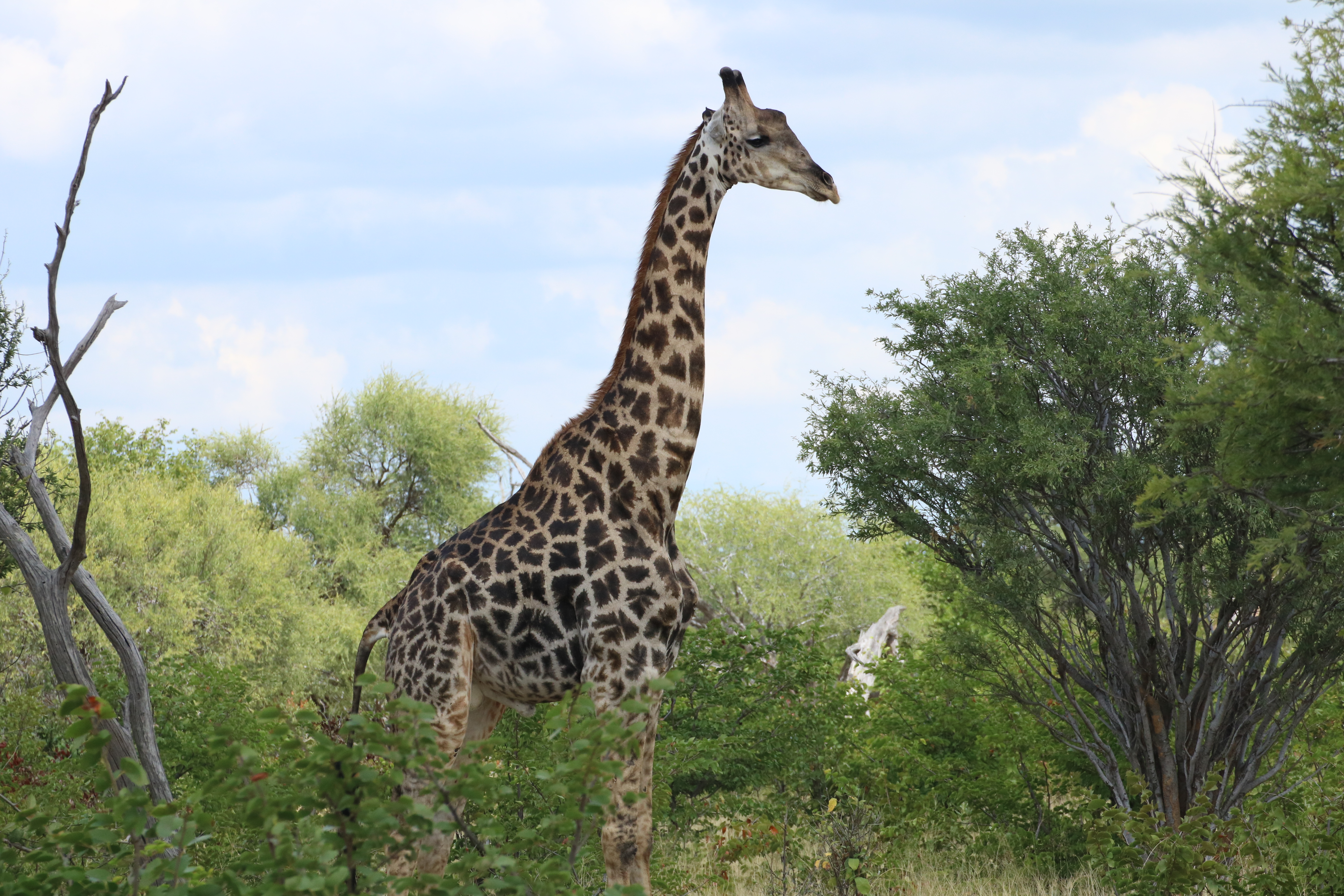 Traveller Stories: Luke Robinson