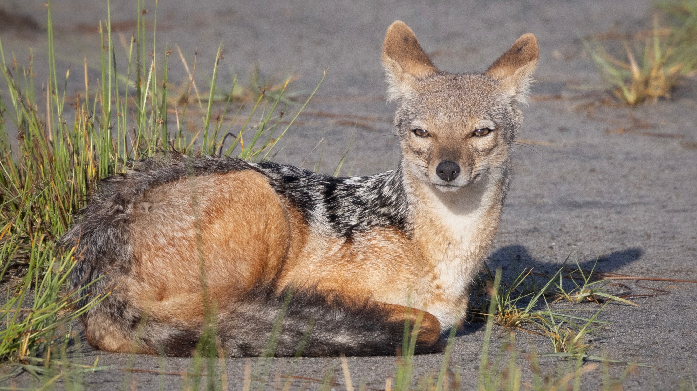 Traveller Stories: Mark and Jean Skilling