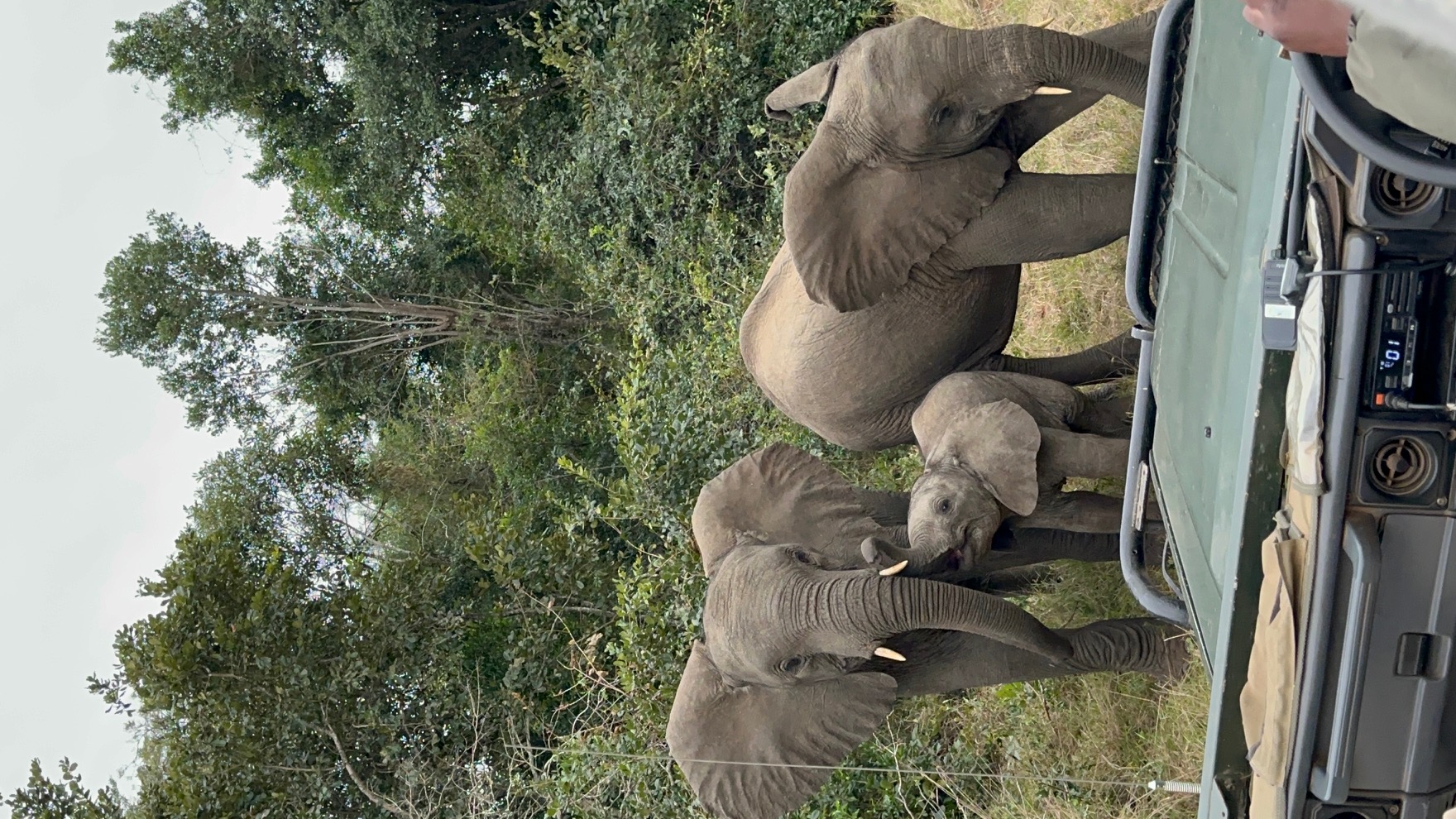 Traveller Stories: Payton McGarva