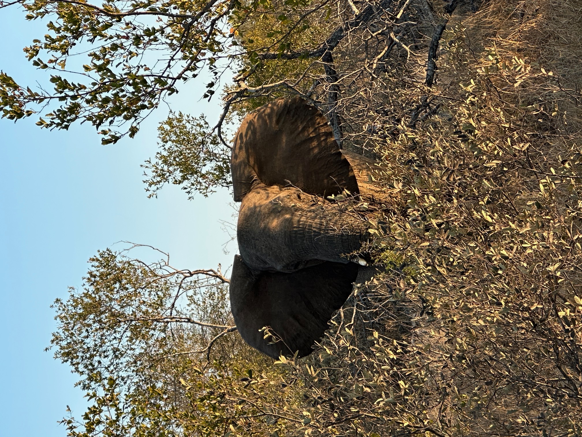 Traveller Stories: Payton McGarva