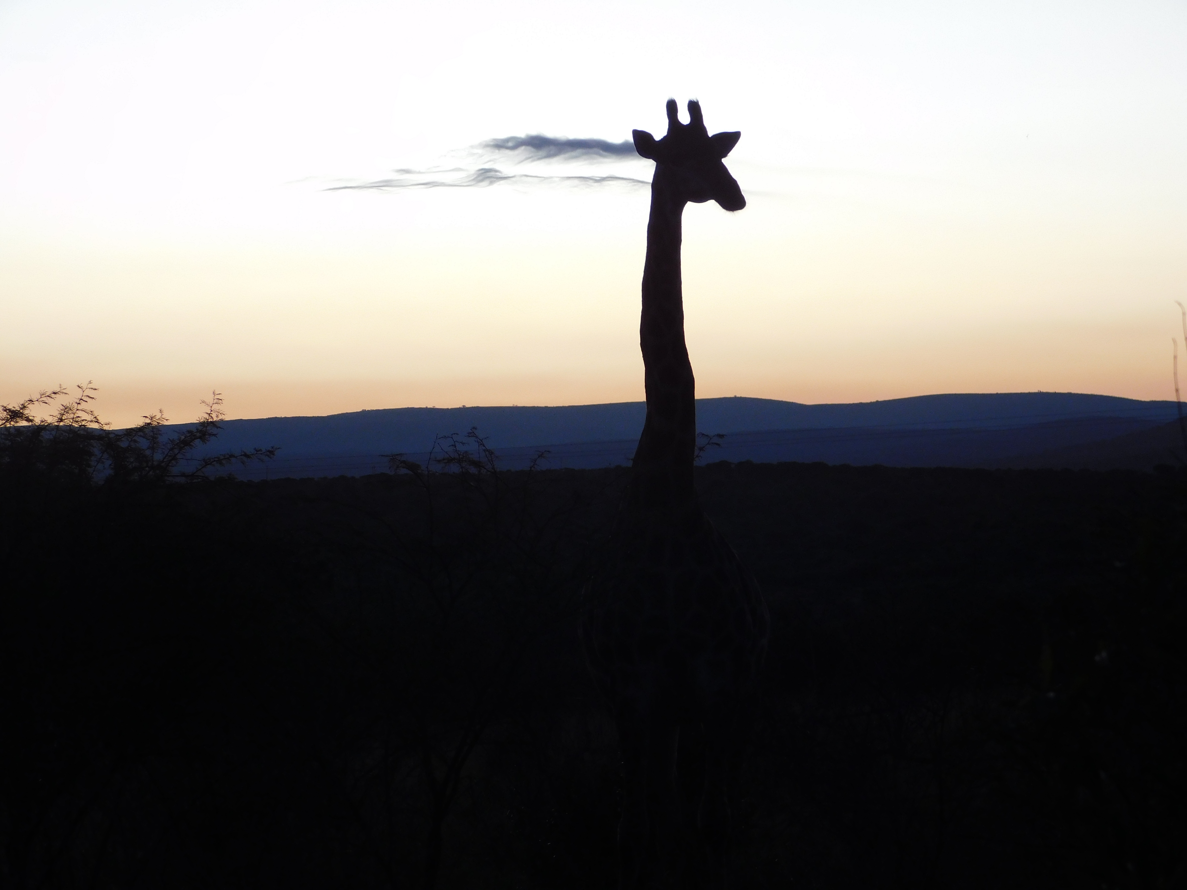 Traveller Stories: Rebecca Preece