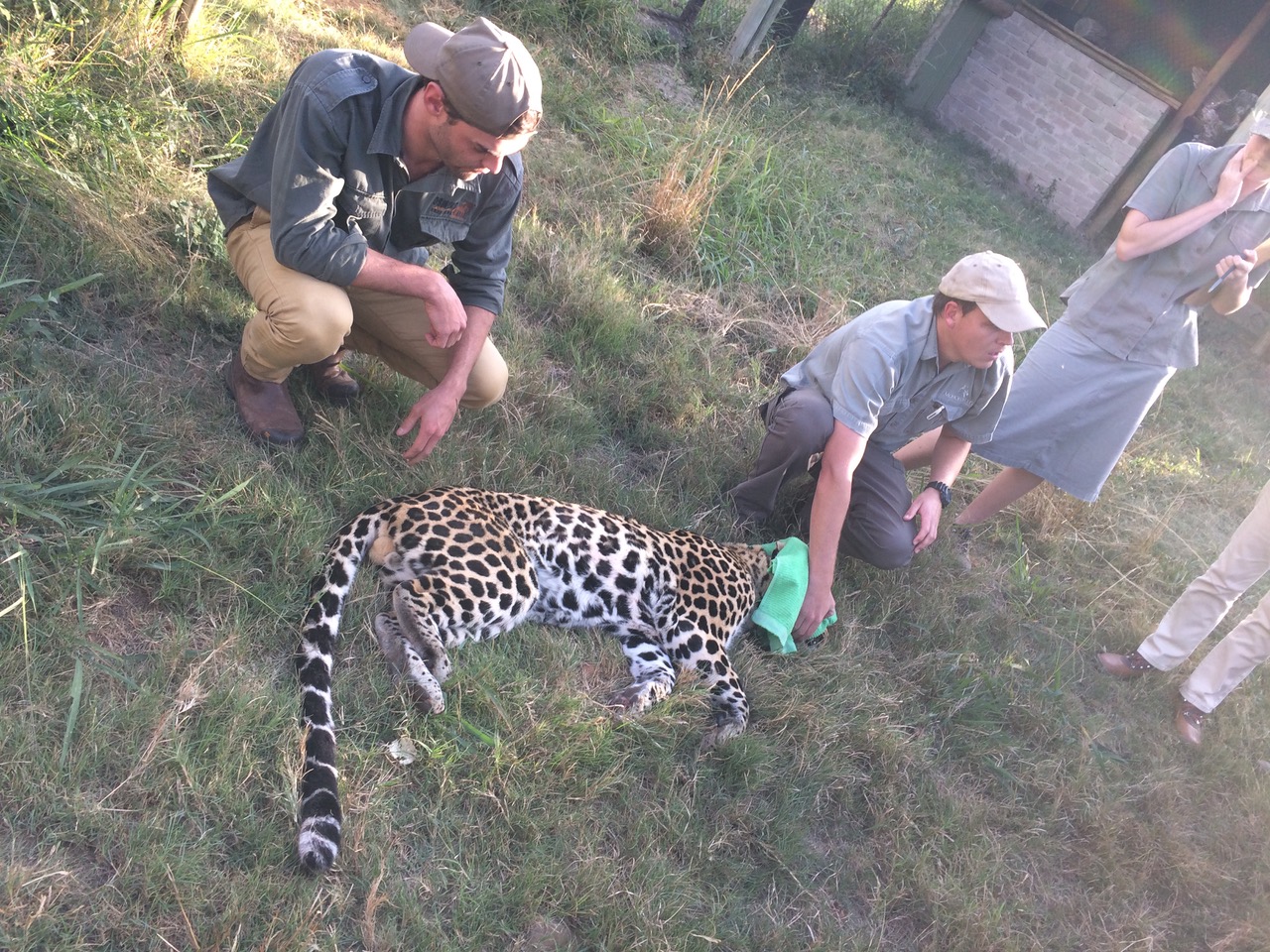 Traveller Stories: Daniel Thomas