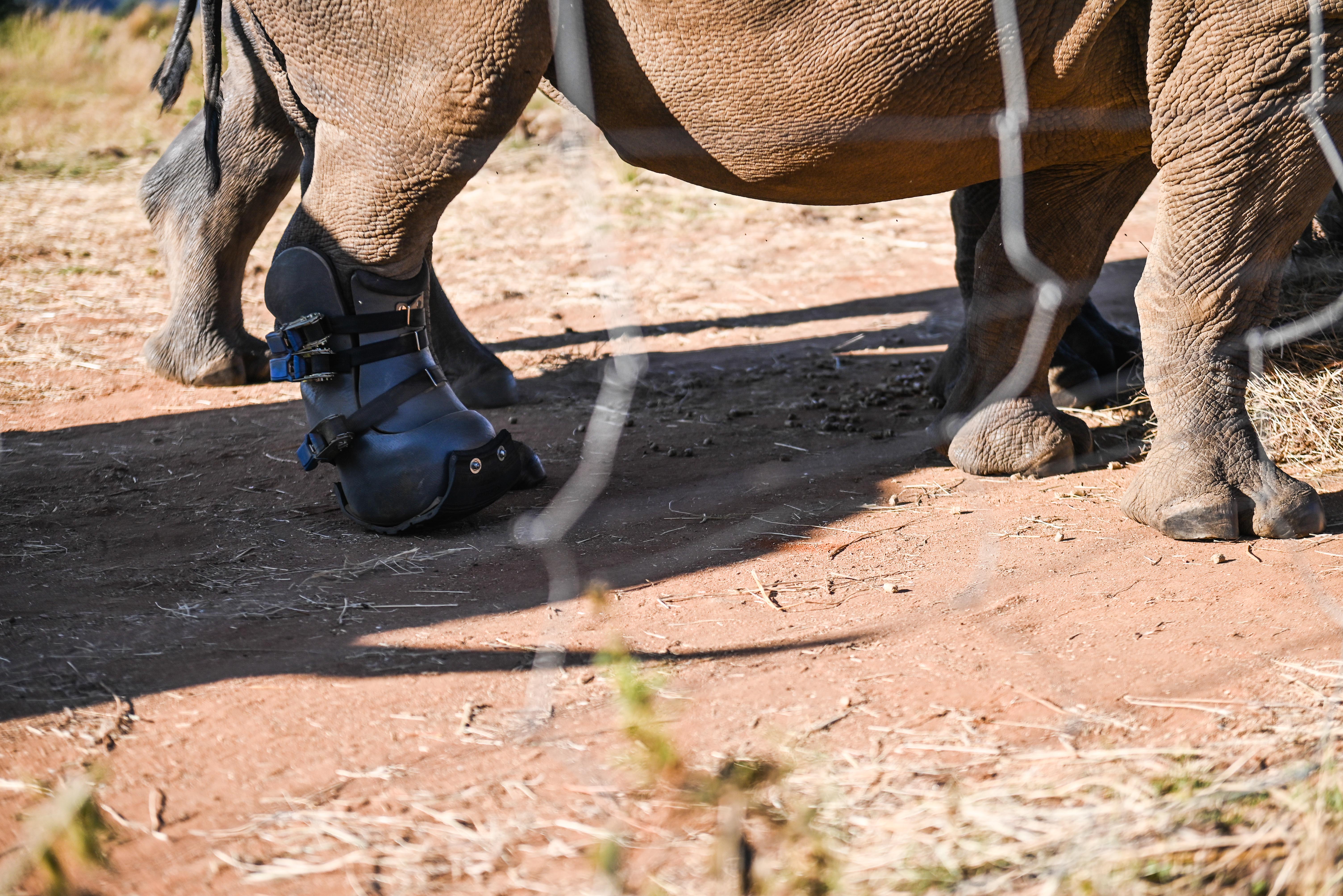 Golola Rhino Orphanage And Rehabilitation Centre
