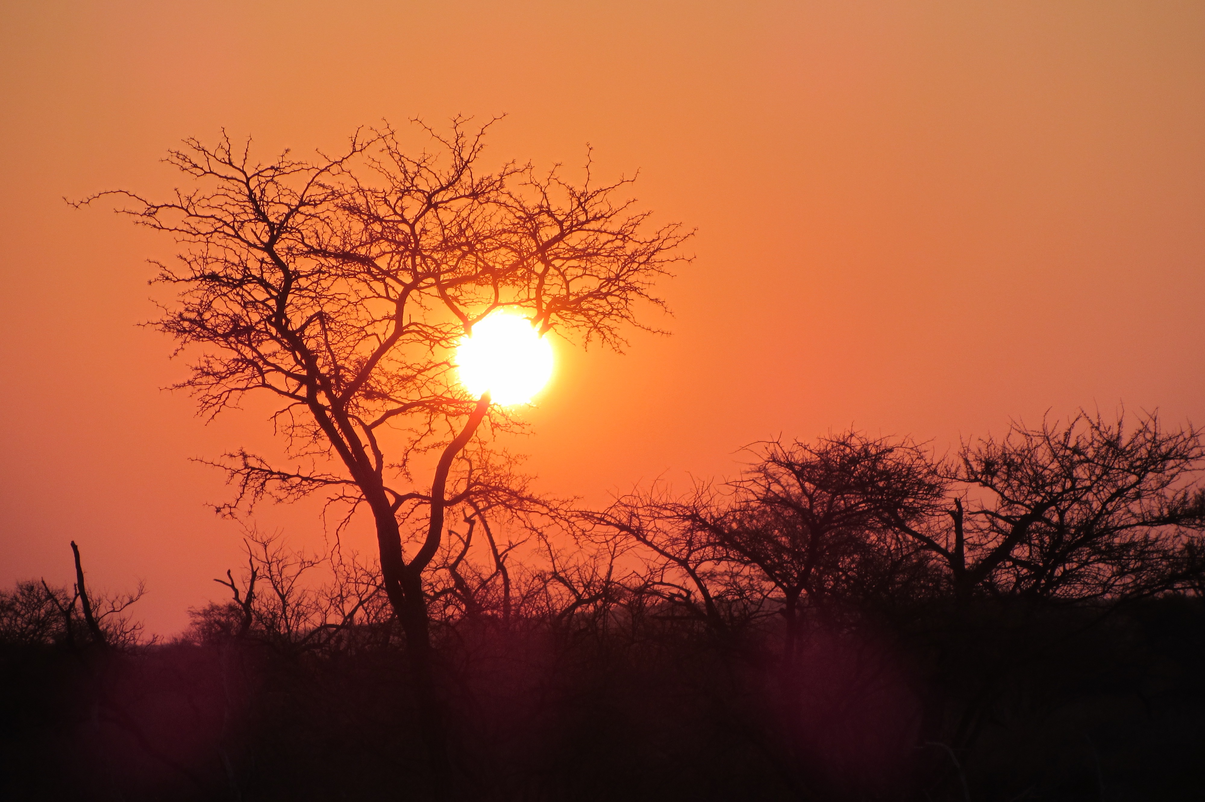 Hanchi Horseback Project