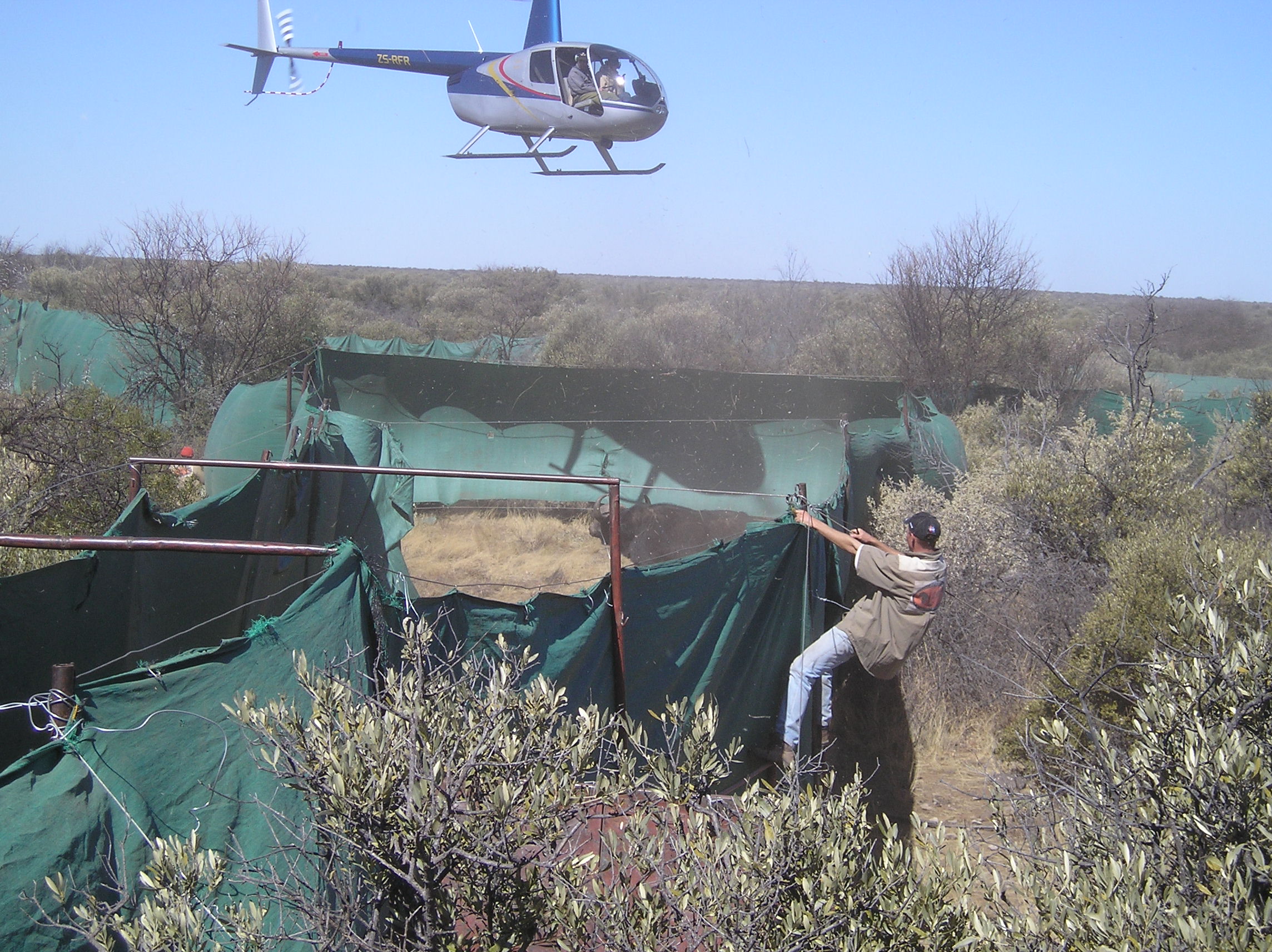 Game Capture And Relocation Experience