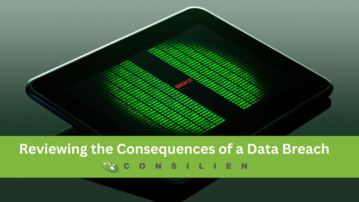 Reviewing the Consequences of a Data Breach: Financial and Security Risks