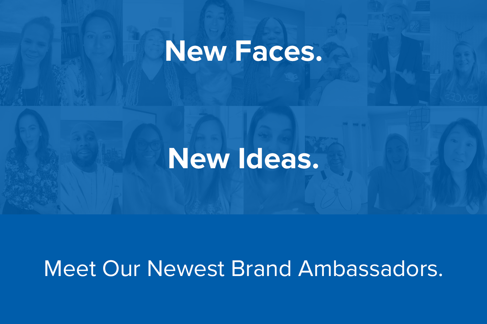 Meet Our New Brand Ambassadors! | Container Stories