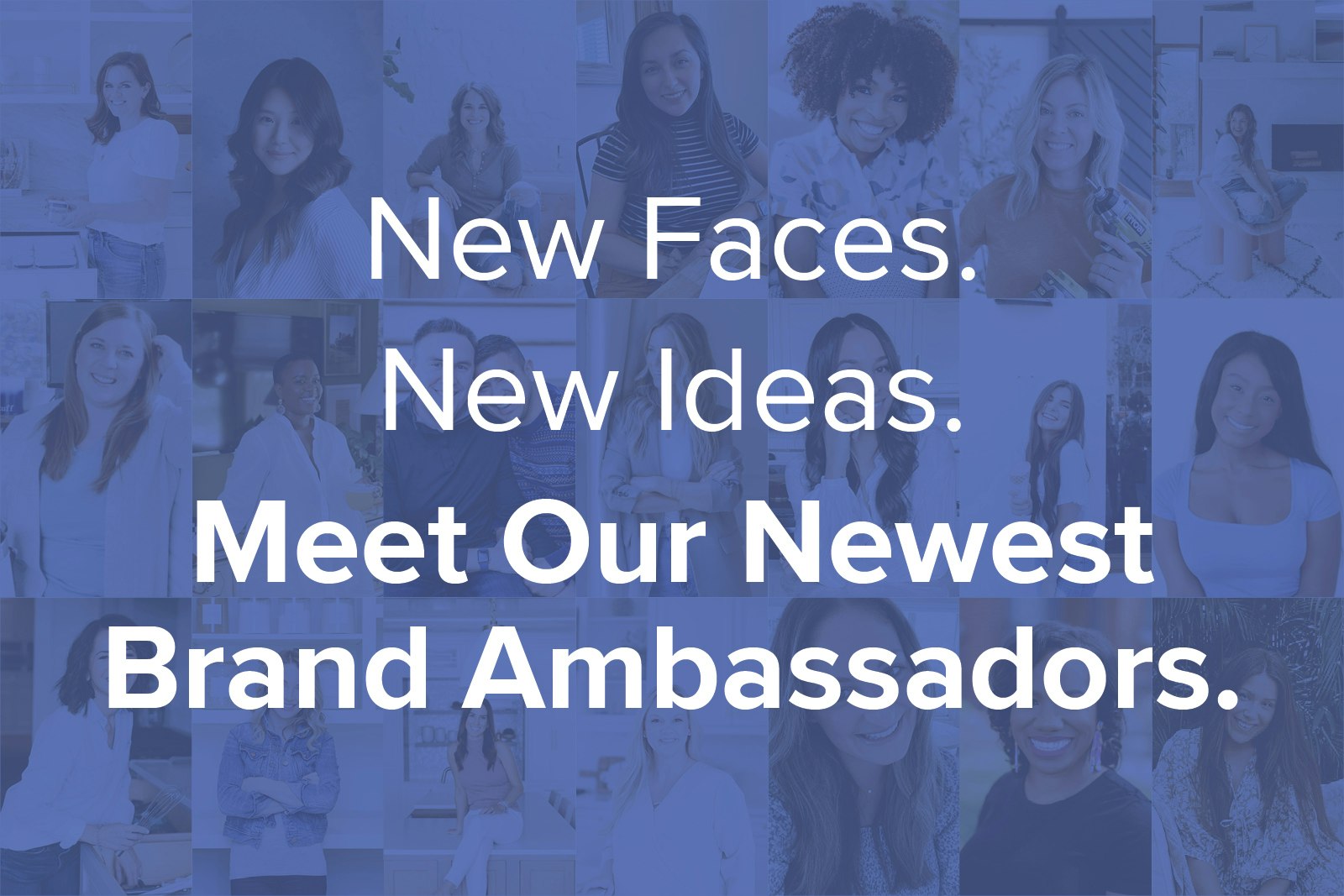 Introducing Our 2023-2024 Brand Ambassadors! | Container Stories