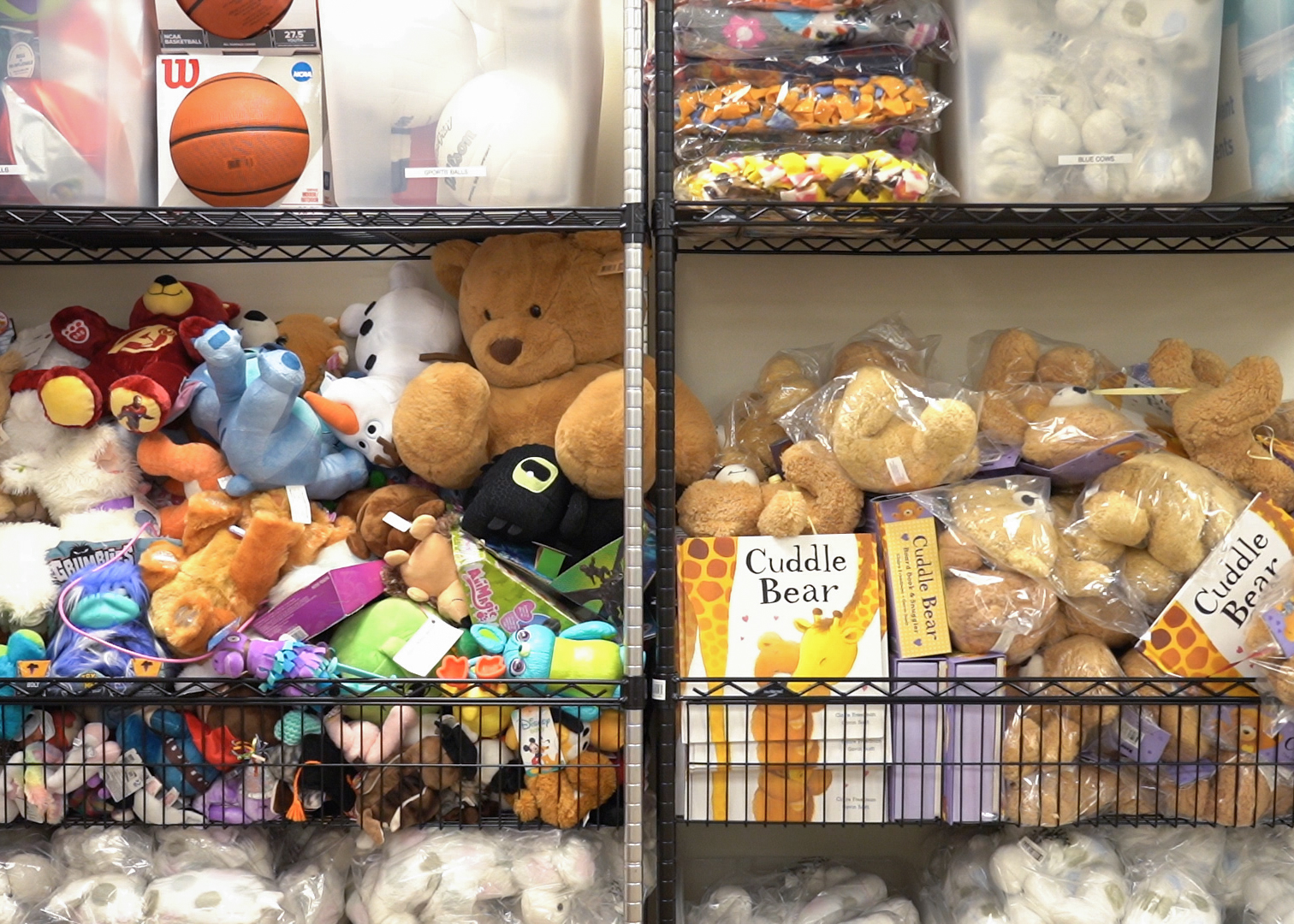 Giving Le Bonheur Children's Hospital The Gift of Organization ...