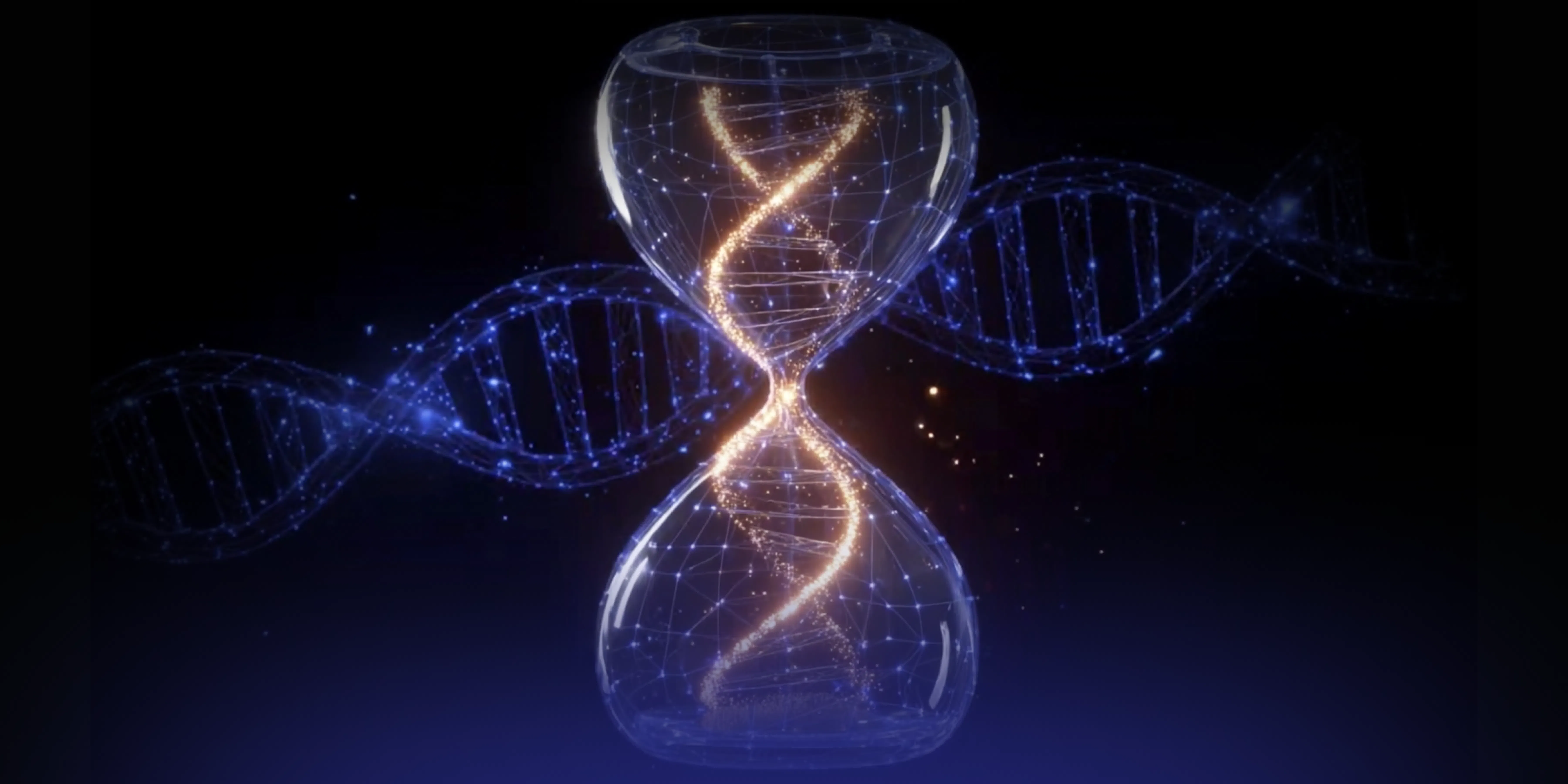 The Anti-Aging Therapeutics Boom | Contrary Research