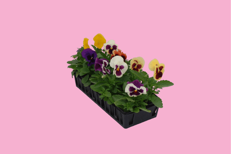 Côté Nature | Jardinerie Animalerie Entreprise Familiale depuis 1996