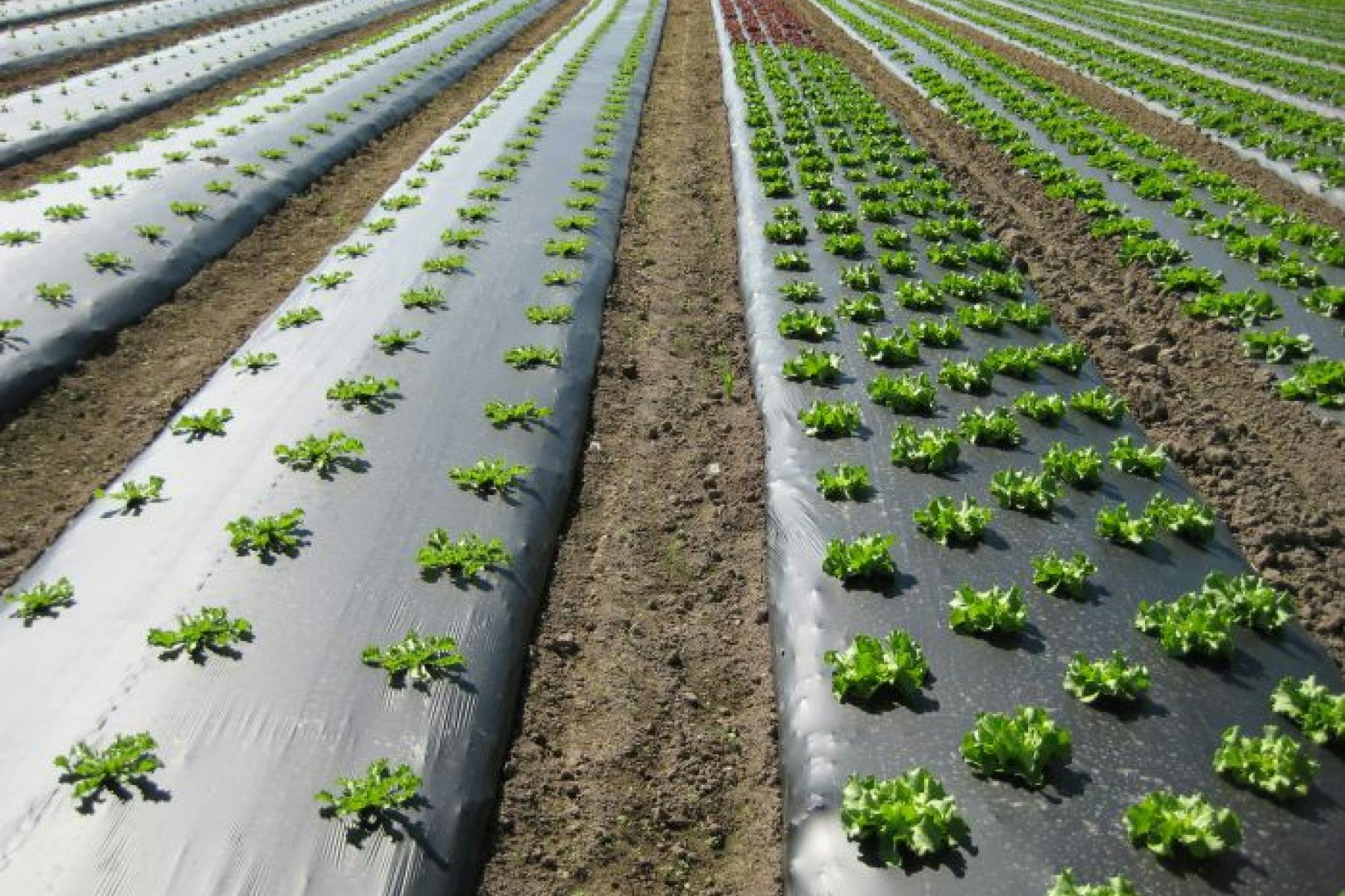 Côté Nature | Jardinerie Animalerie Entreprise Familiale depuis 1996