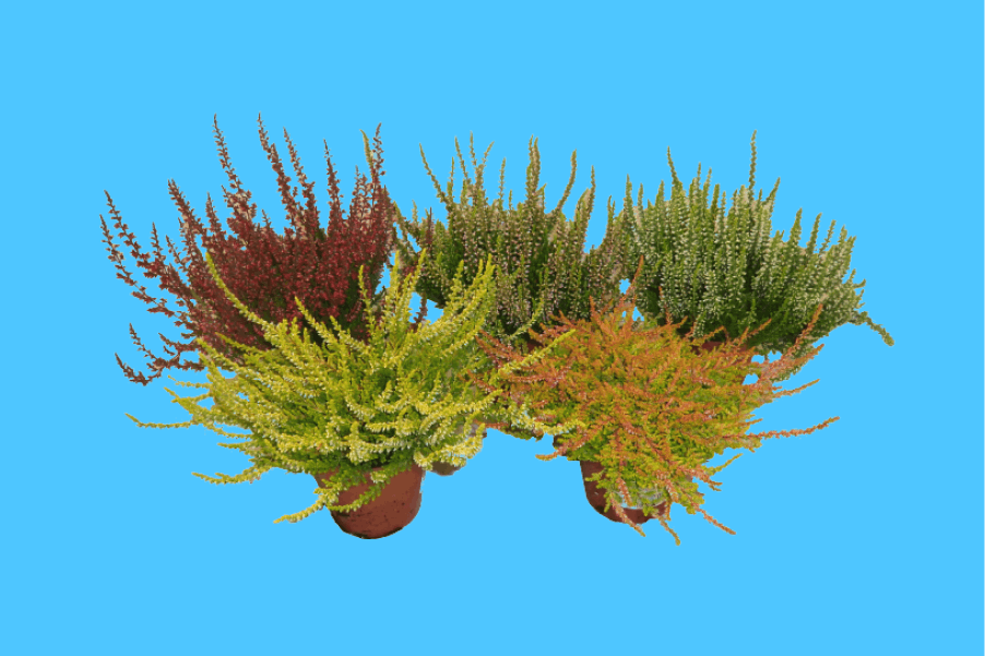 Côté Nature | Jardinerie Animalerie Entreprise Familiale depuis 1996