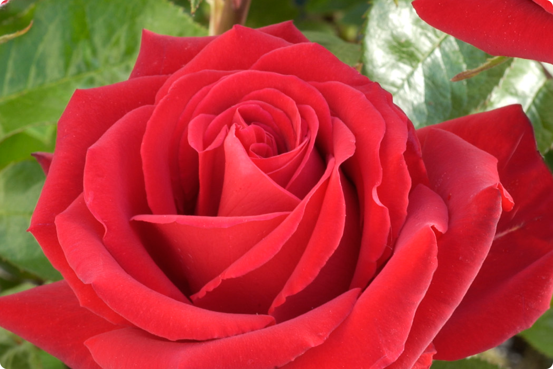 Côté Nature | Jardinerie Animalerie Entreprise Familiale depuis 1996