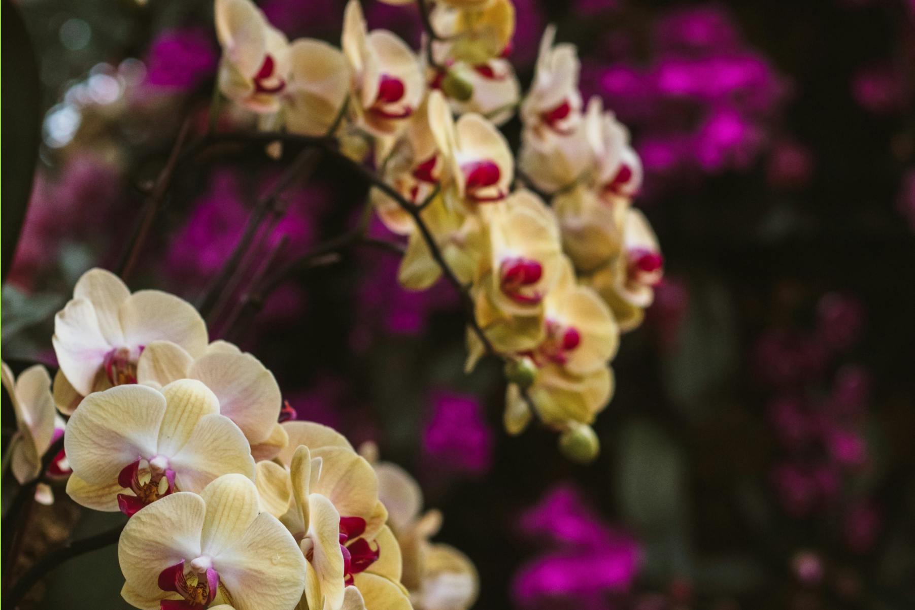 Côté Nature | Jardinerie Animalerie Entreprise Familiale depuis 1996