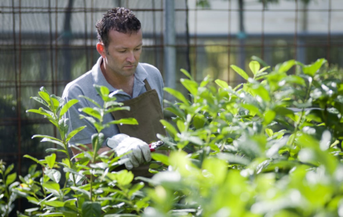 Côté Nature | On recrute, consultez nos offres ! ;)