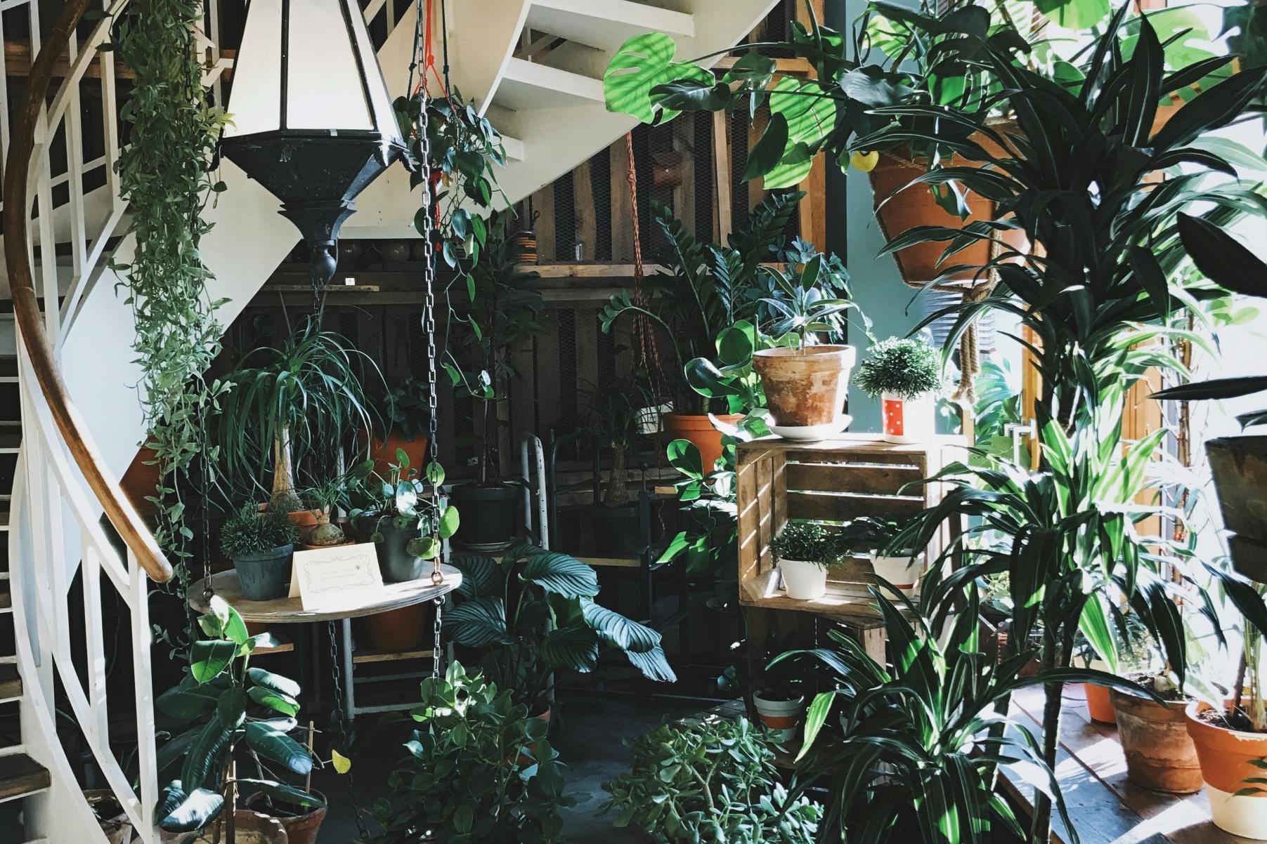 Côté Nature | Jardinerie Animalerie Entreprise Familiale depuis 1996