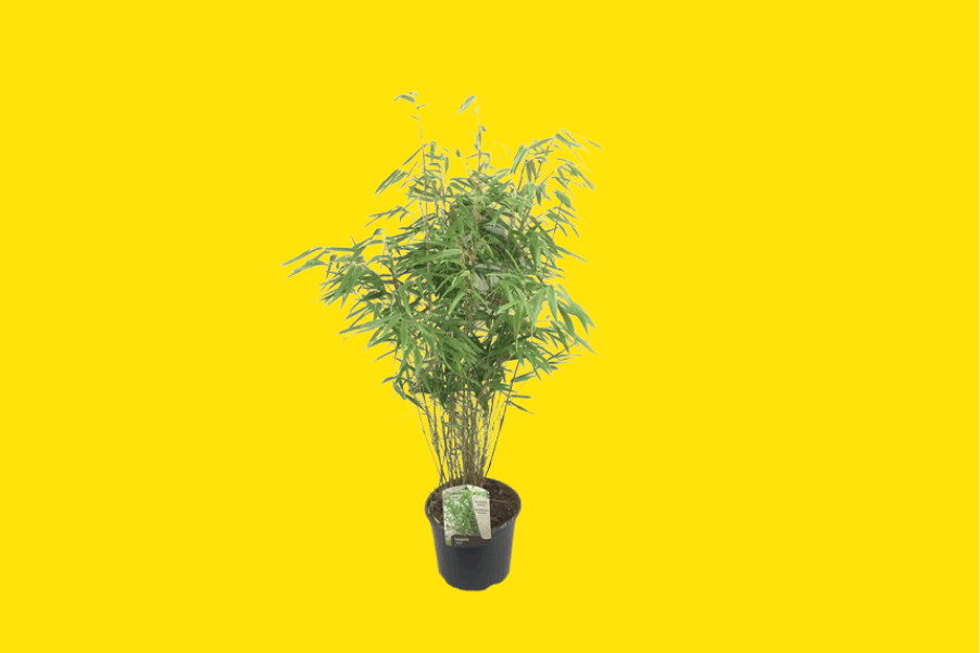 Côté Nature | Jardinerie Animalerie Entreprise Familiale depuis 1996