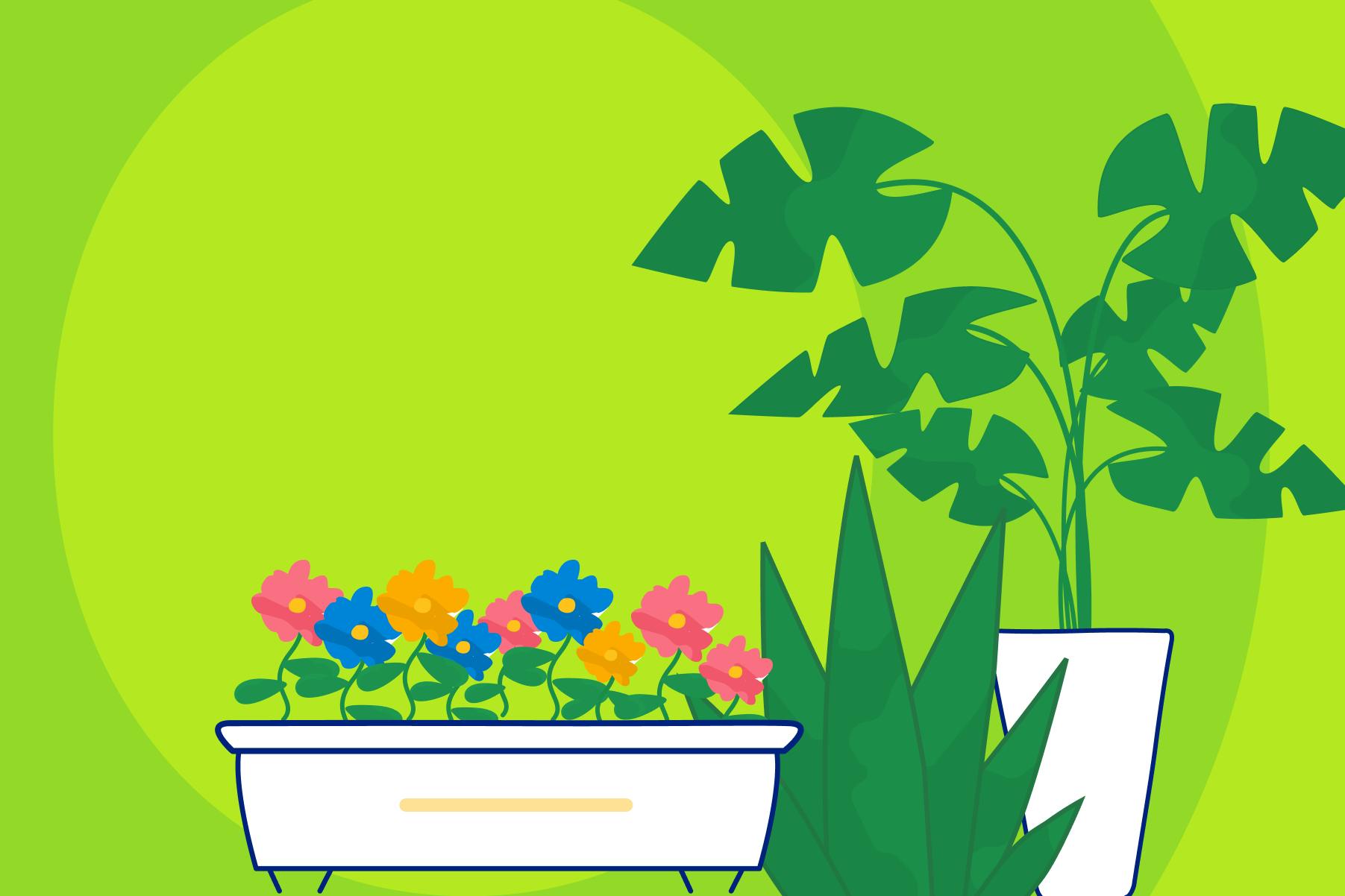 Côté Nature | Jardinerie Animalerie Entreprise Familiale depuis 1996