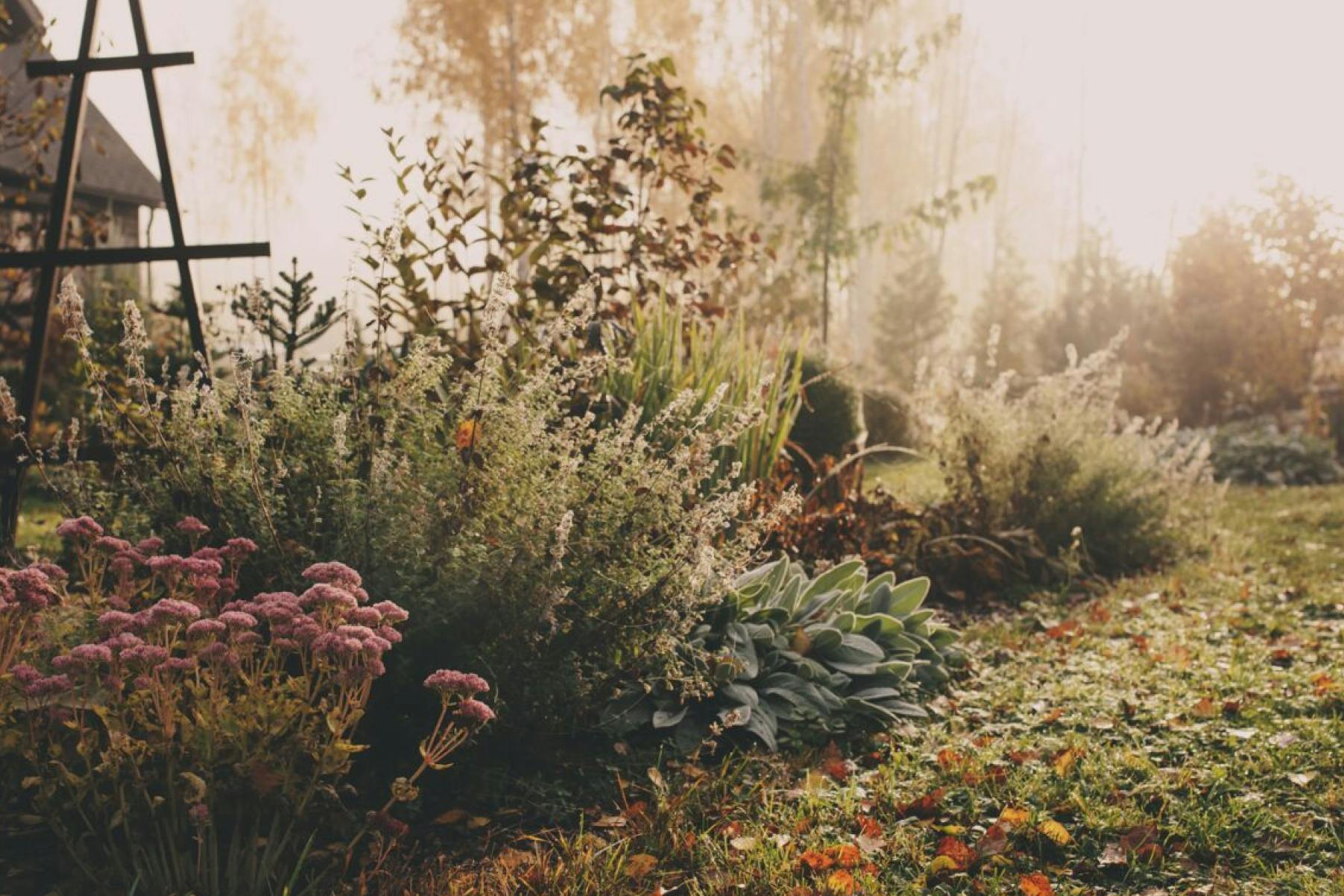 Côté Nature | Jardinerie Animalerie Entreprise Familiale depuis 1996