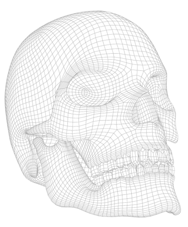 Neuromodulator Adverse Events – LLSAN - Online Course | Cotofana Anatomy