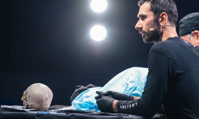 The Knowledge Hub | Cotofana Academy