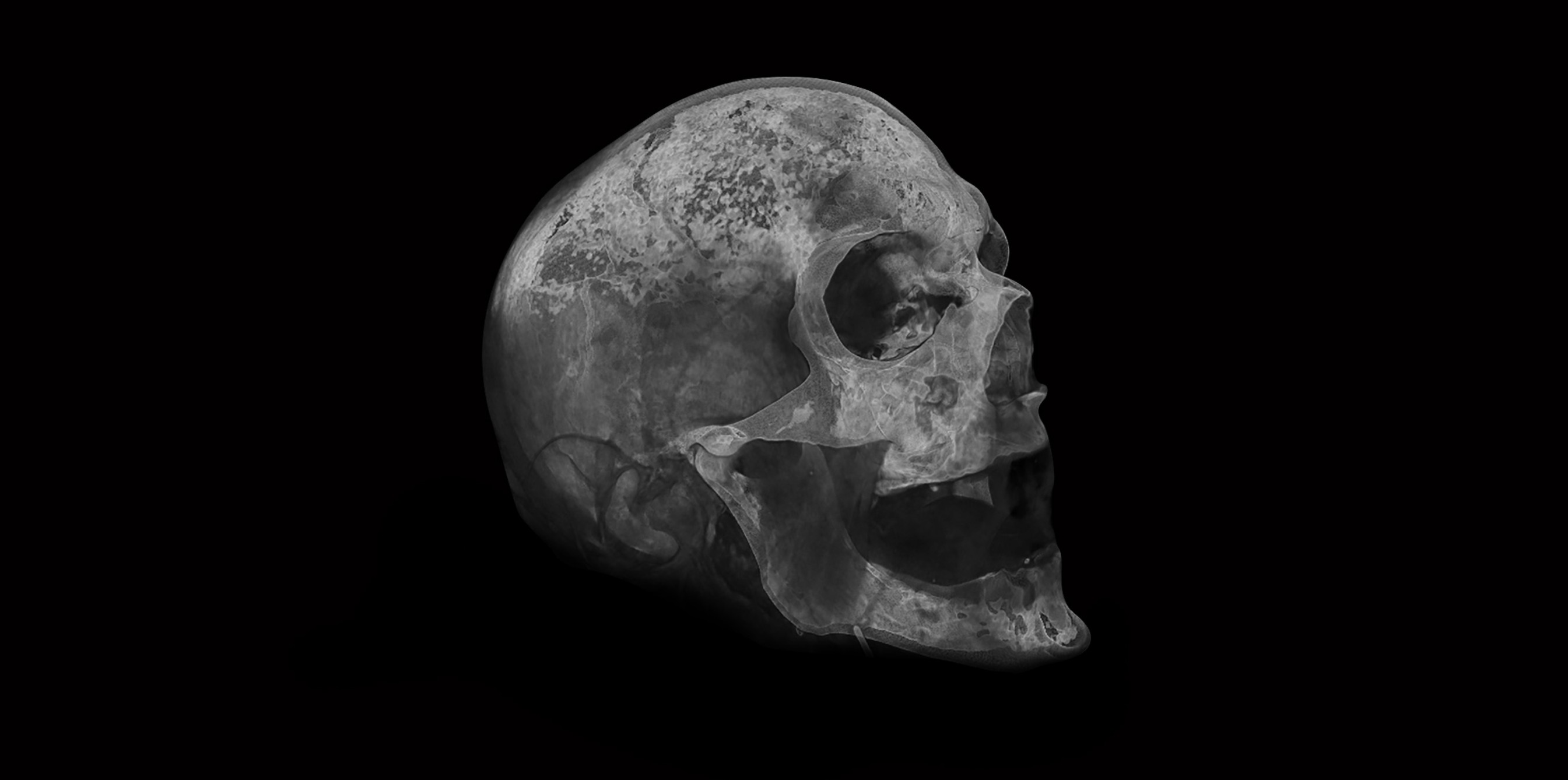 The Knowledge Hub | Cotofana Academy