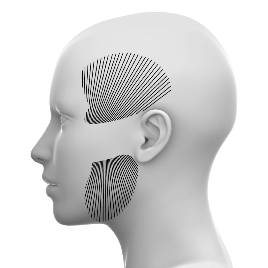 Lateral Face - Online Course