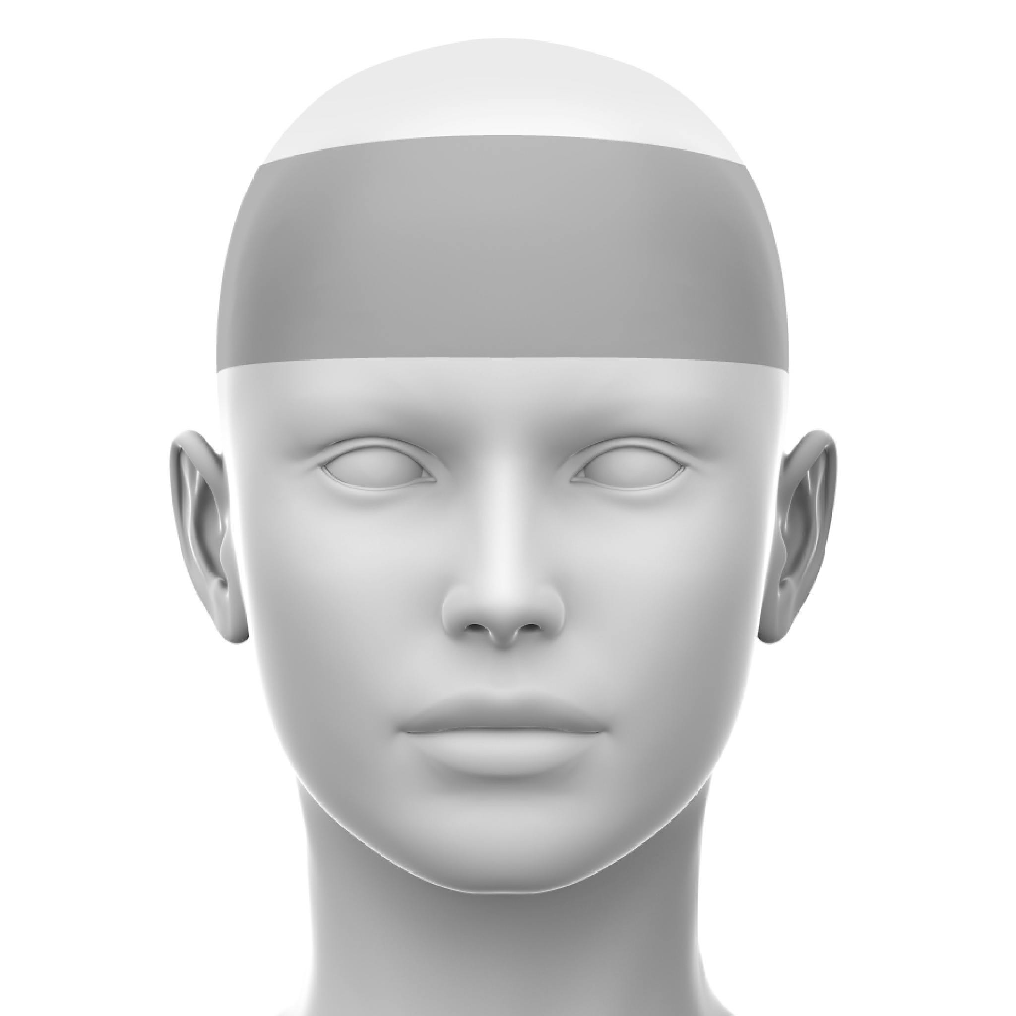 Online Courses | Cotofana Anatomy