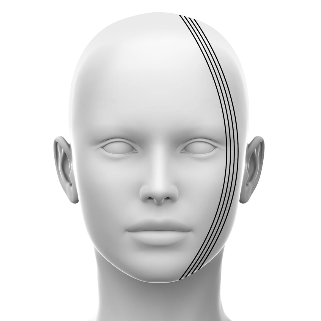 Online Courses | Cotofana Anatomy