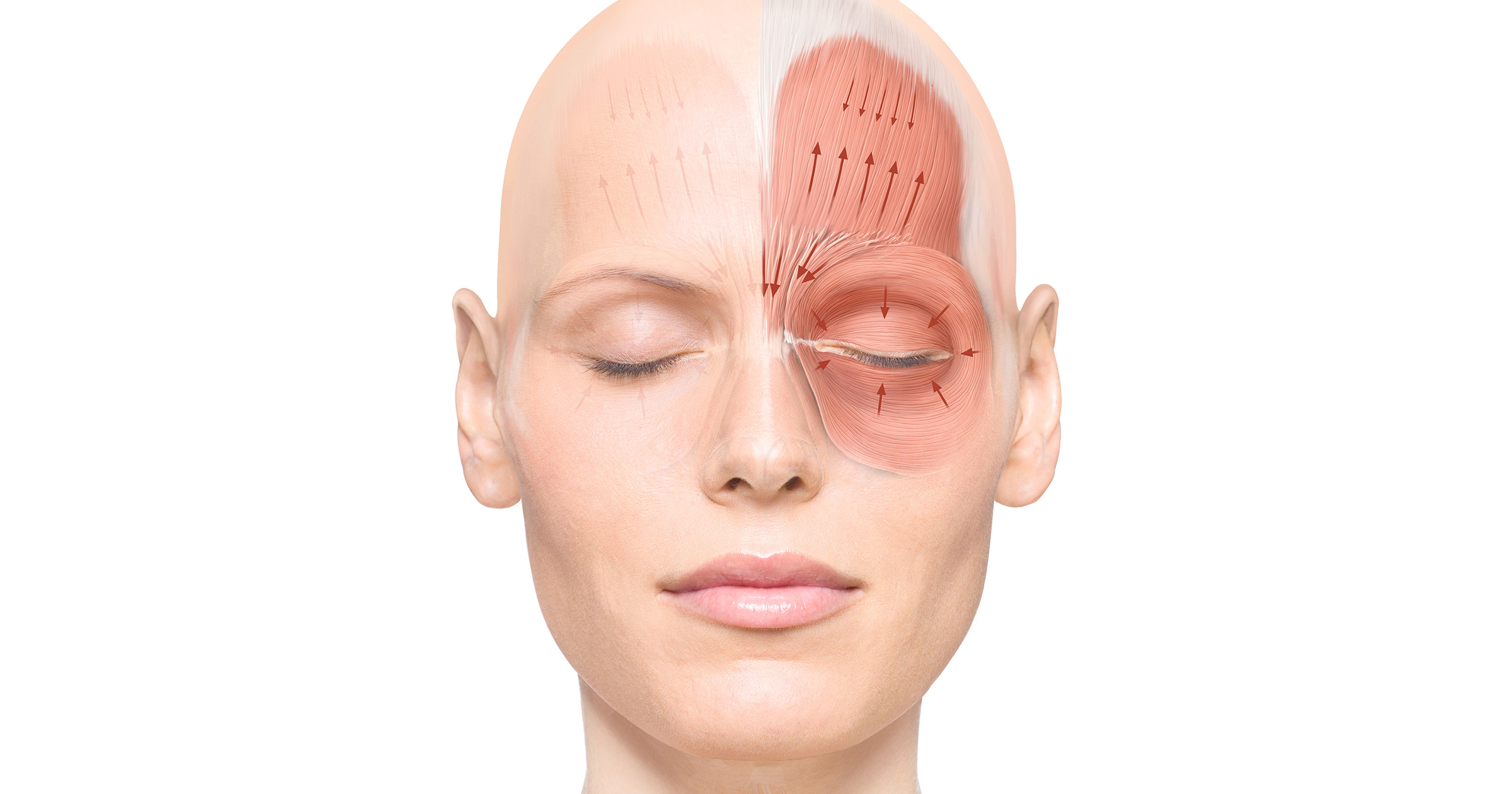The 3-Step Approach for Neuromodulator Treatments | Cotofana Anatomy