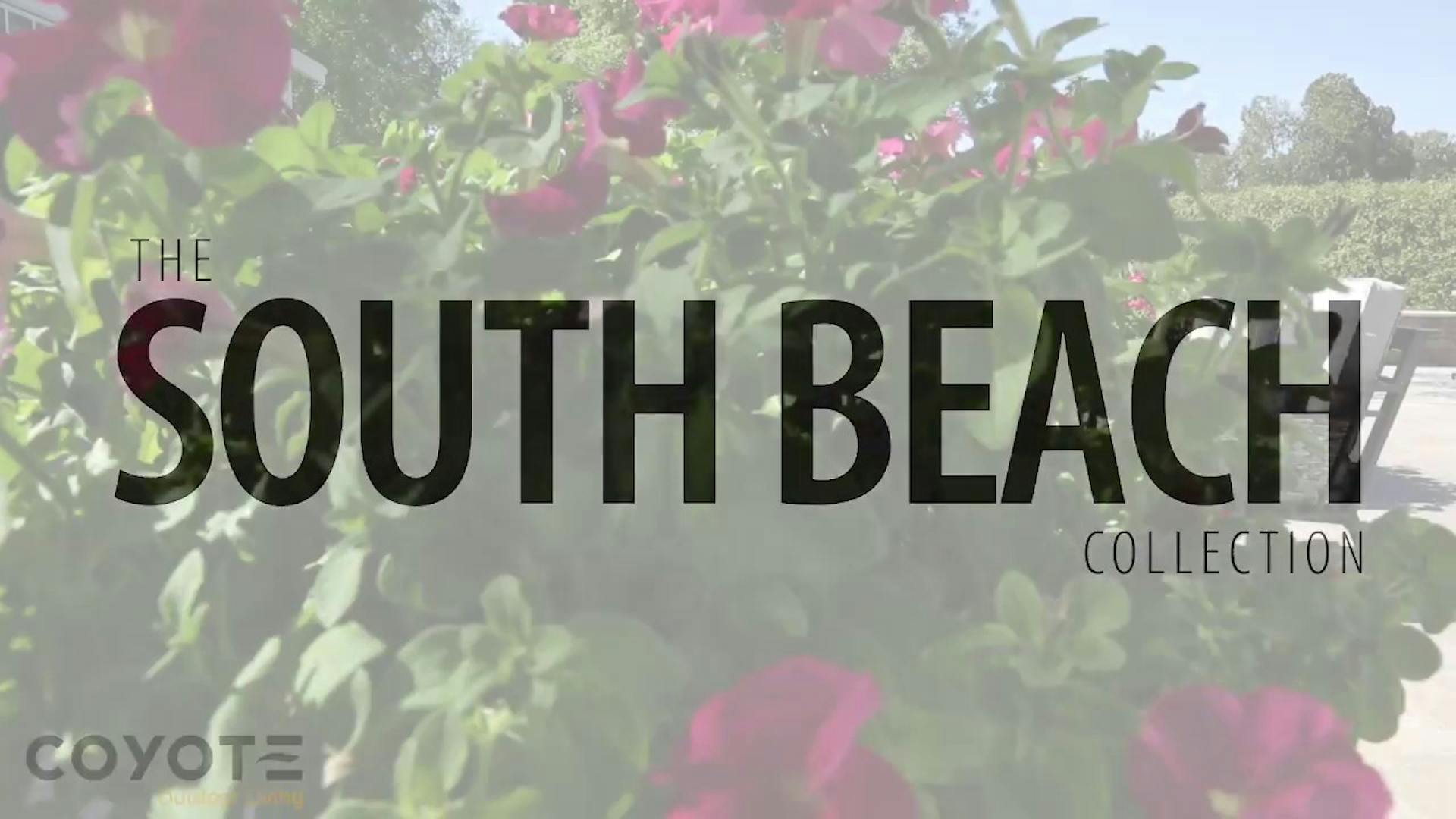 Coyote Outdoor Lifestyle Blog | Grill Recipes & Outdoor Cooking Tips