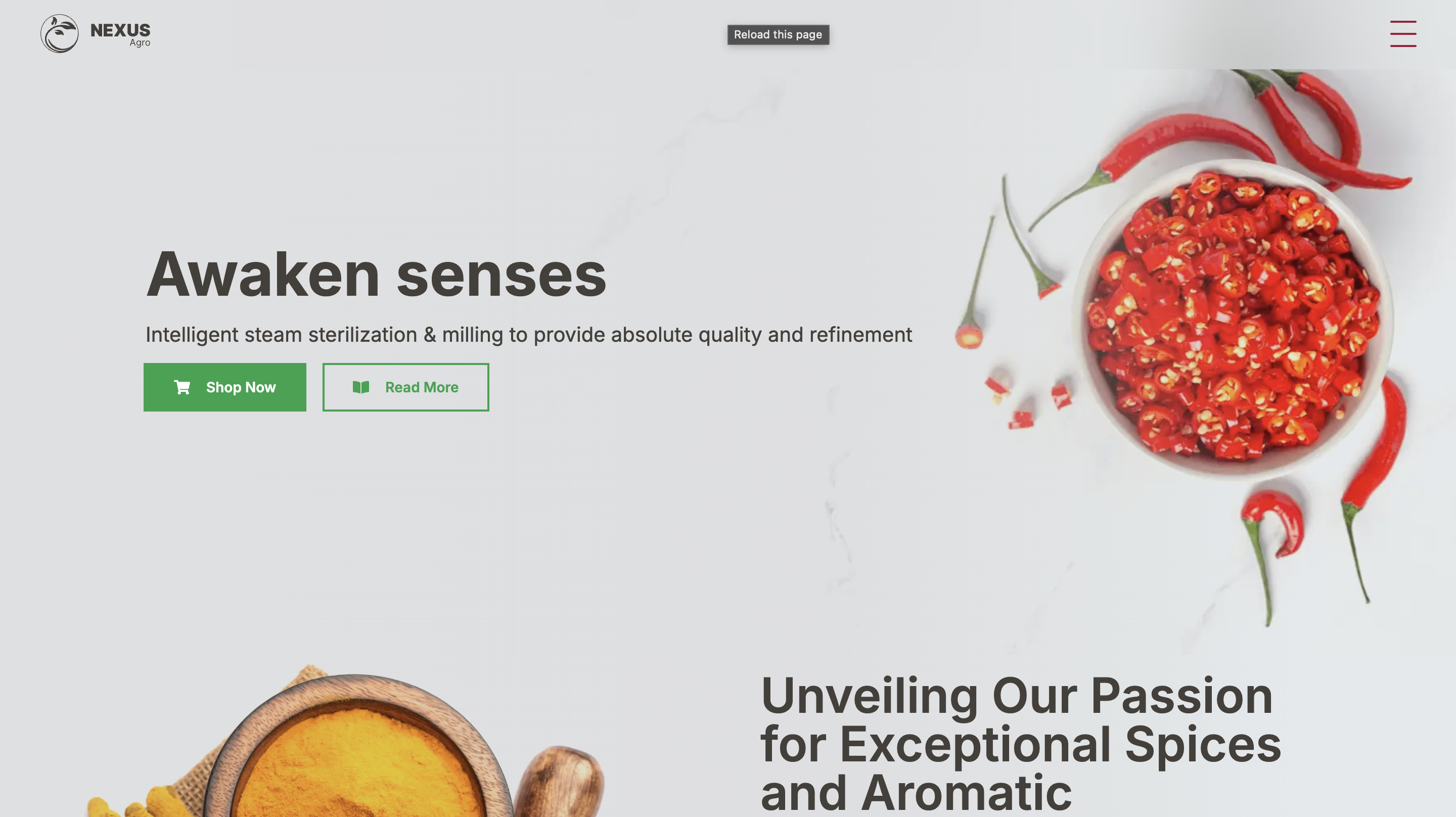 Nexus Spices | CreativoCode