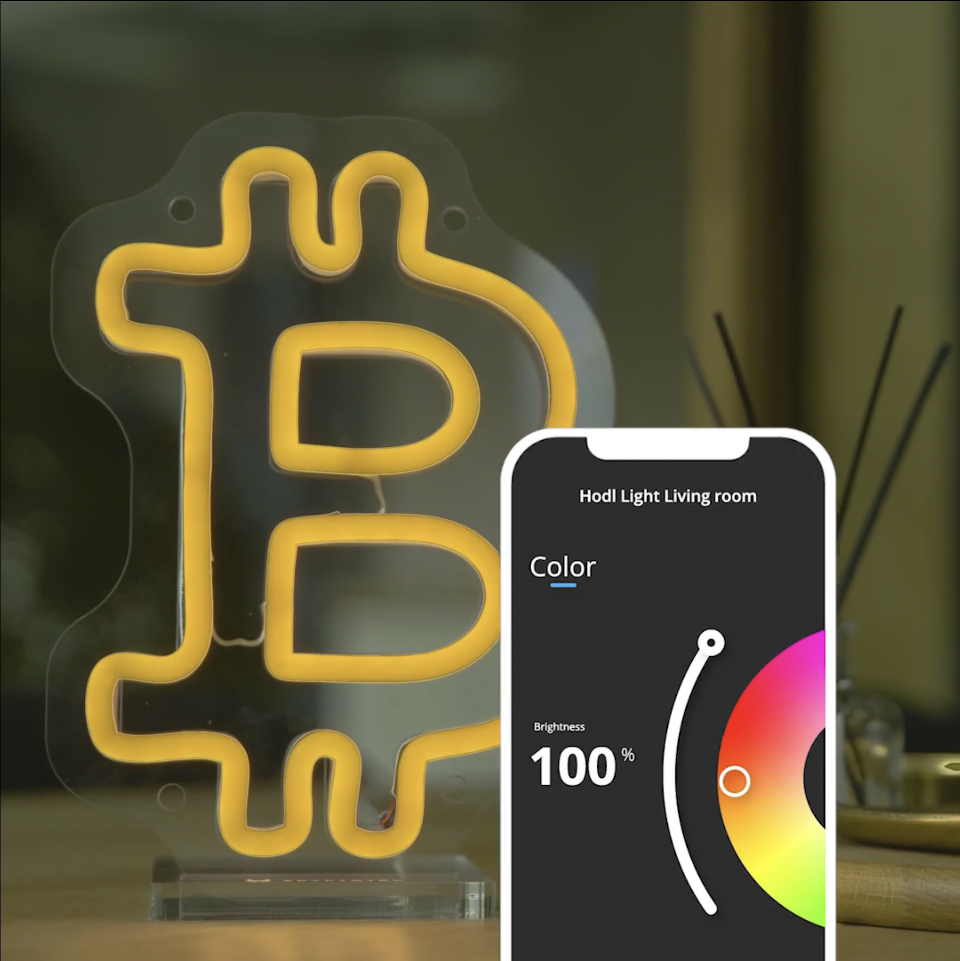 Hodl Light - Bitcoin LED Sign