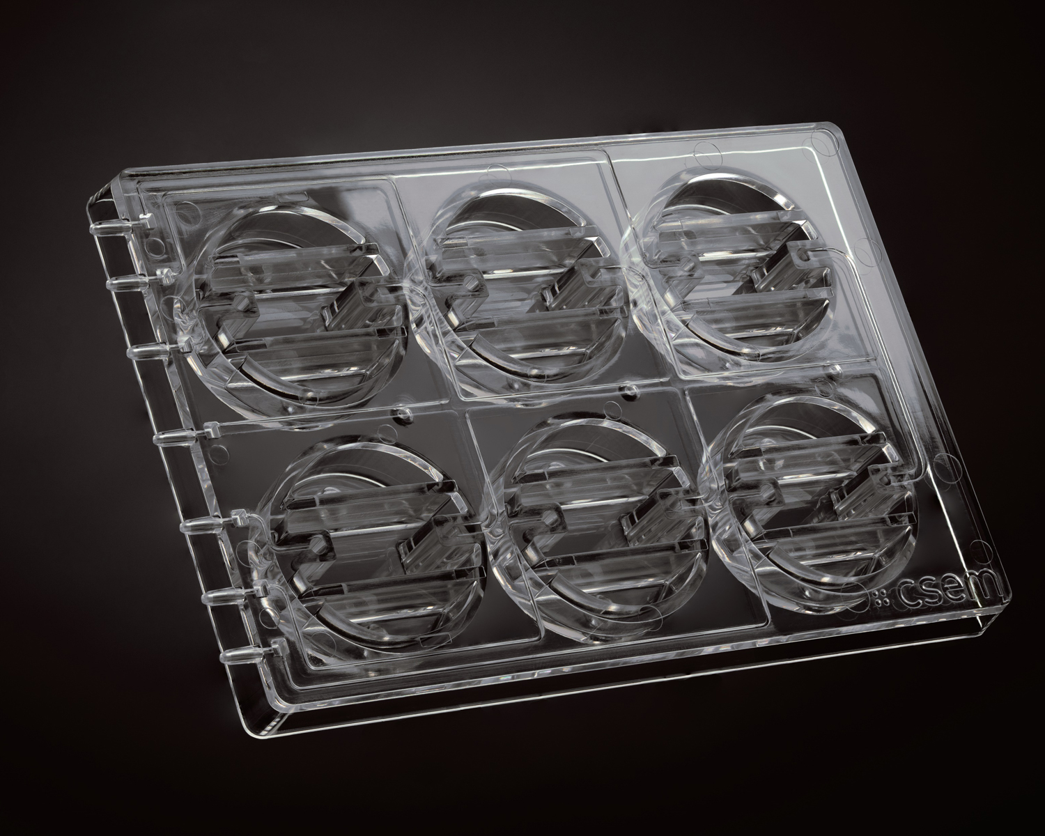 Automated organoid solutions for pharma and biotech R&D | Organoid-on-plate