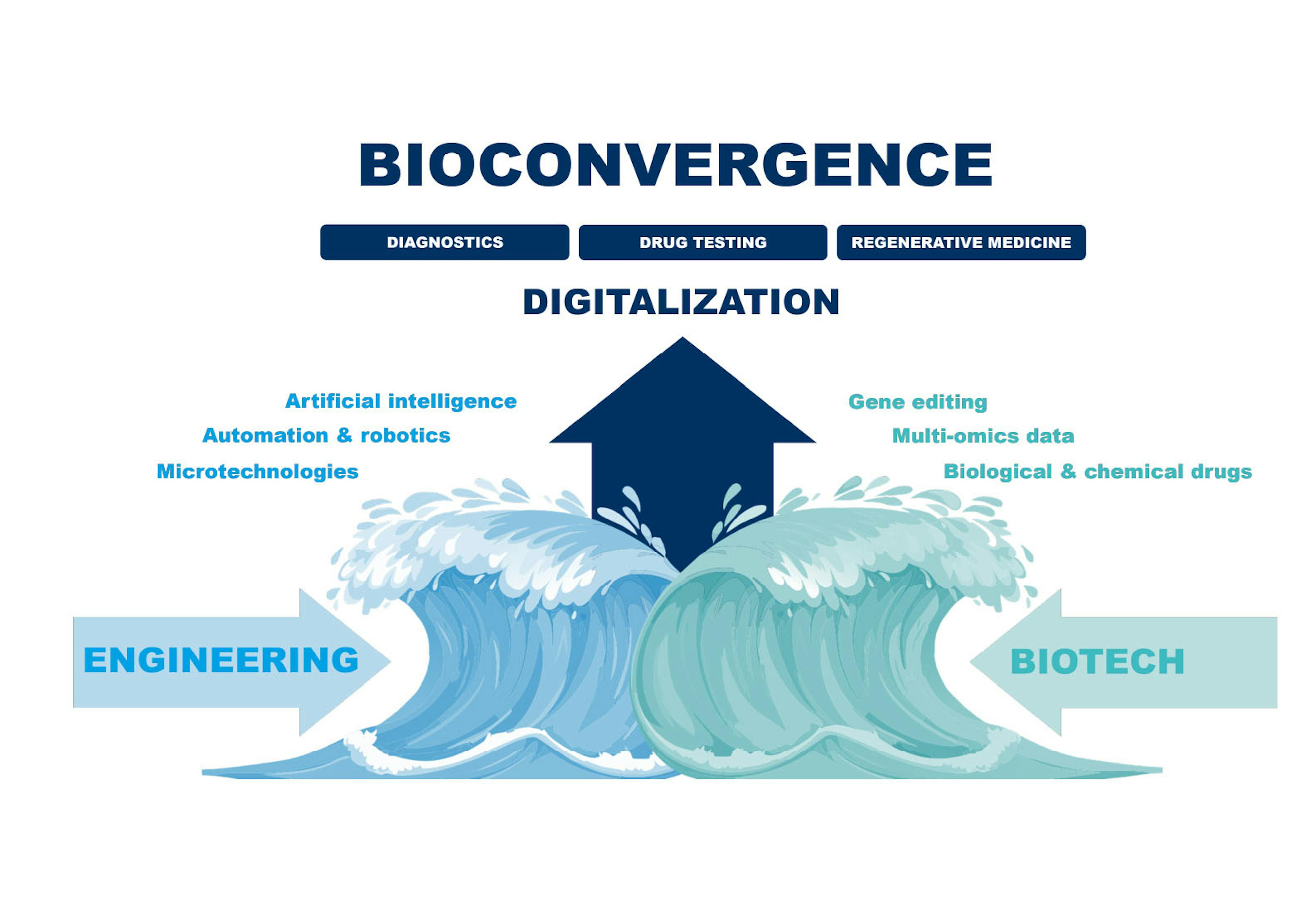 Discover our news and insights