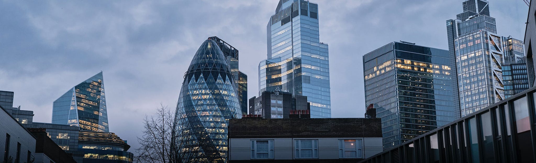 Meet the Dark Alpha Team: Driving Innovation and Excellence | Dark ...