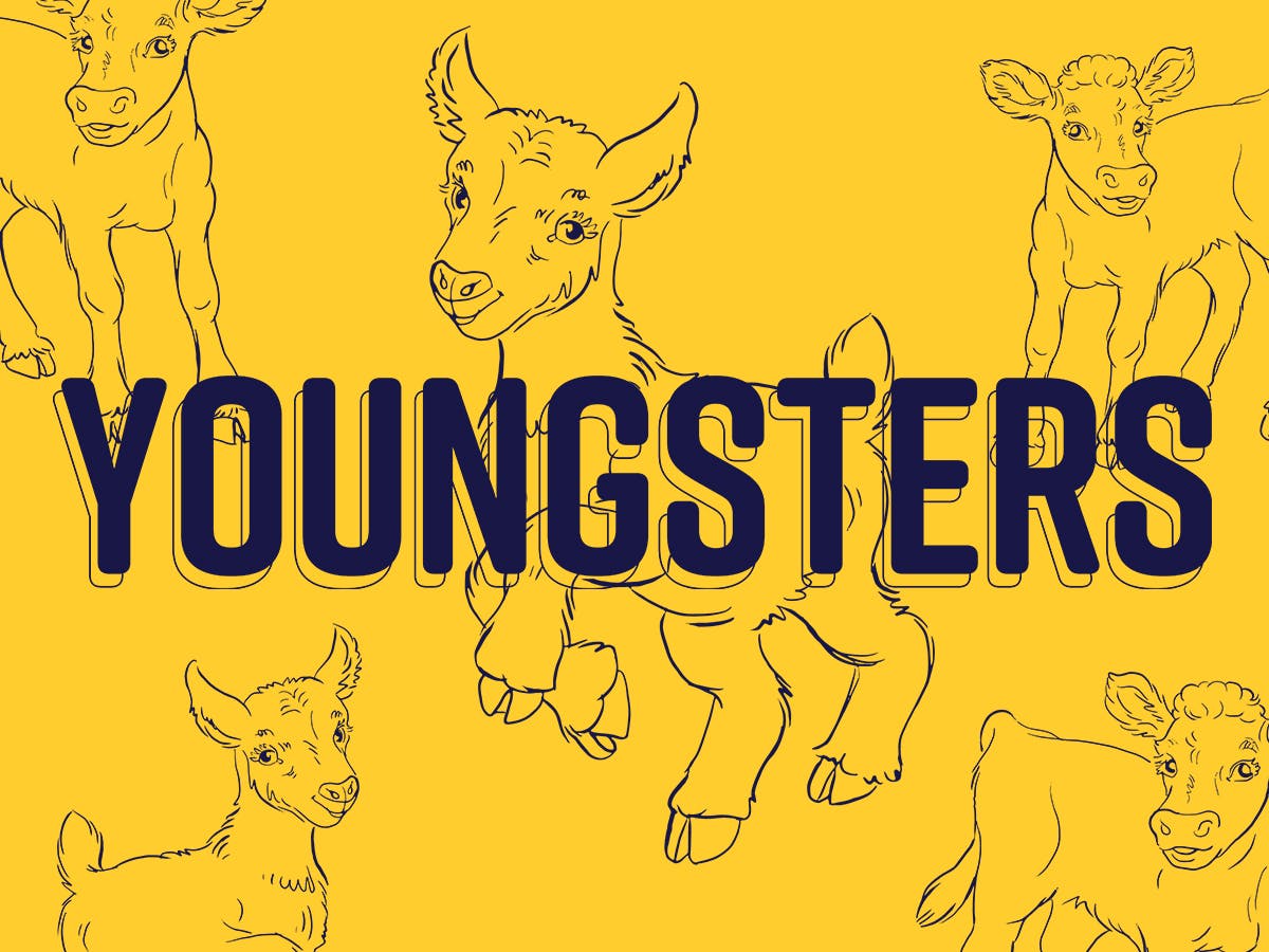 Darling – New York City Born Ad Agency