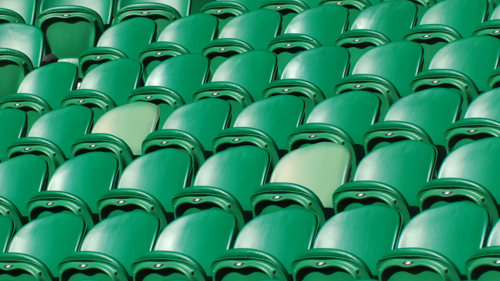 Breaking down the numbers: WordPress' dominance on the web