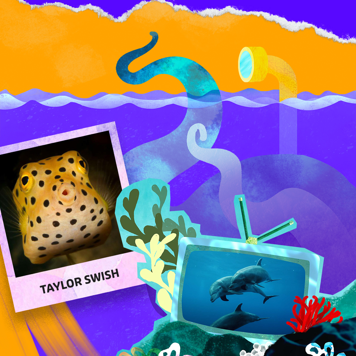 SeaStory - Daydream Believers