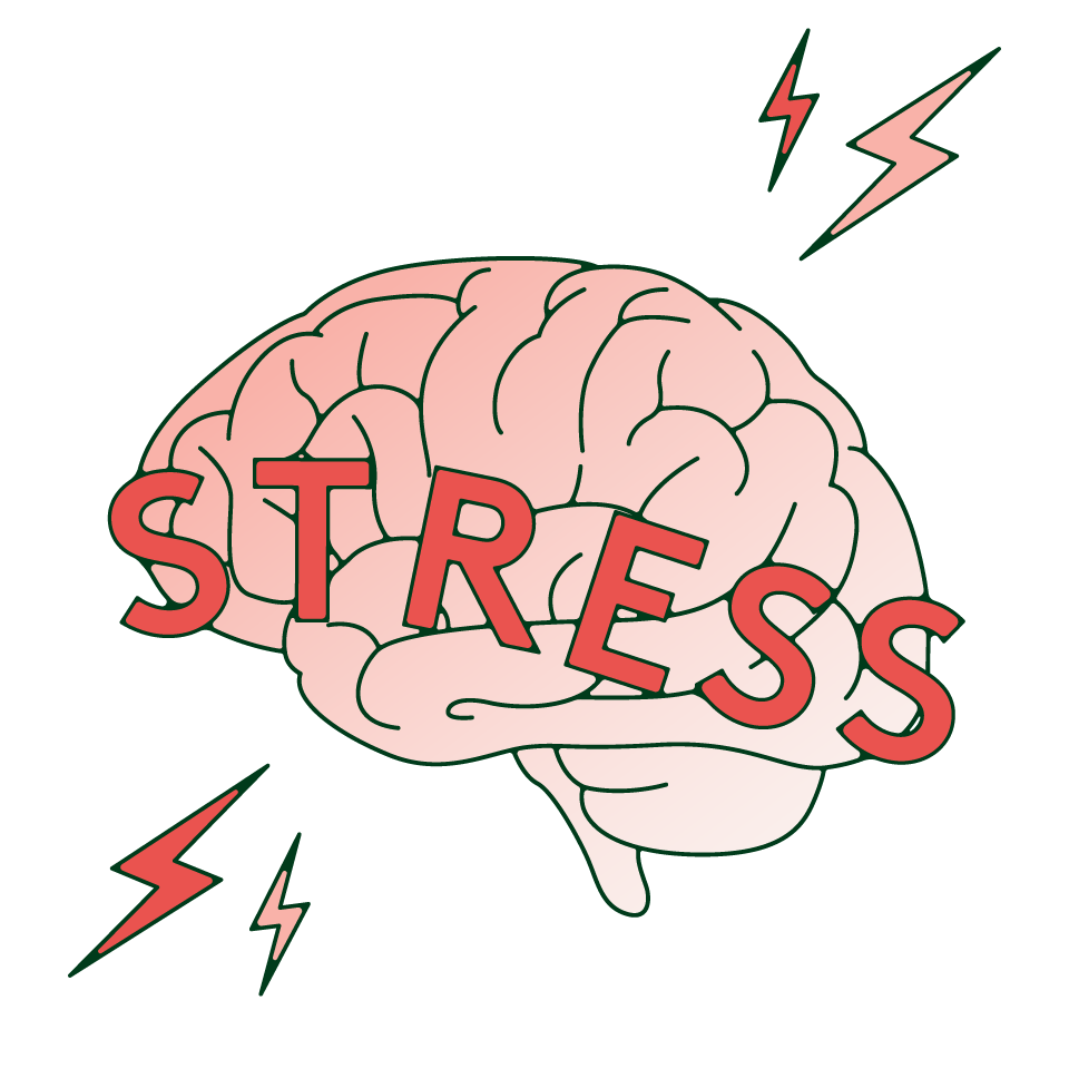 Stress and hormones: an unbreakable bond