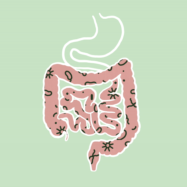 How Is Gut Health Linked To Mental Health?
