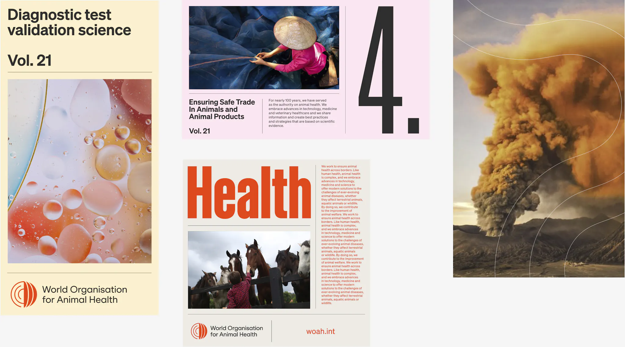 WOAH case study - brand identity. — Decimal.
