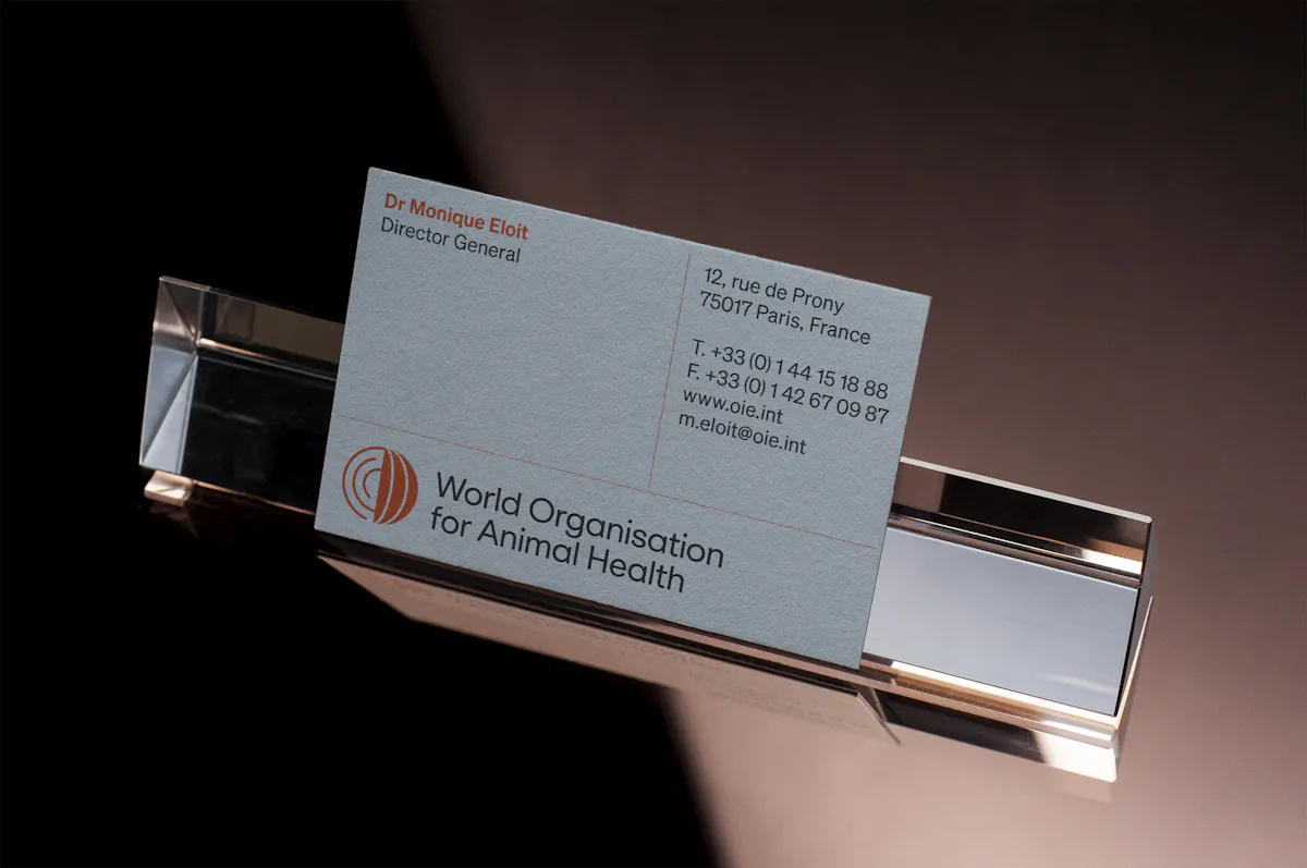 WOAH case study - brand identity. — Decimal.