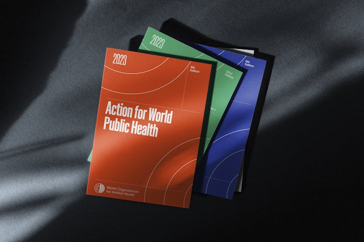 WOAH case study - brand identity. — Decimal.