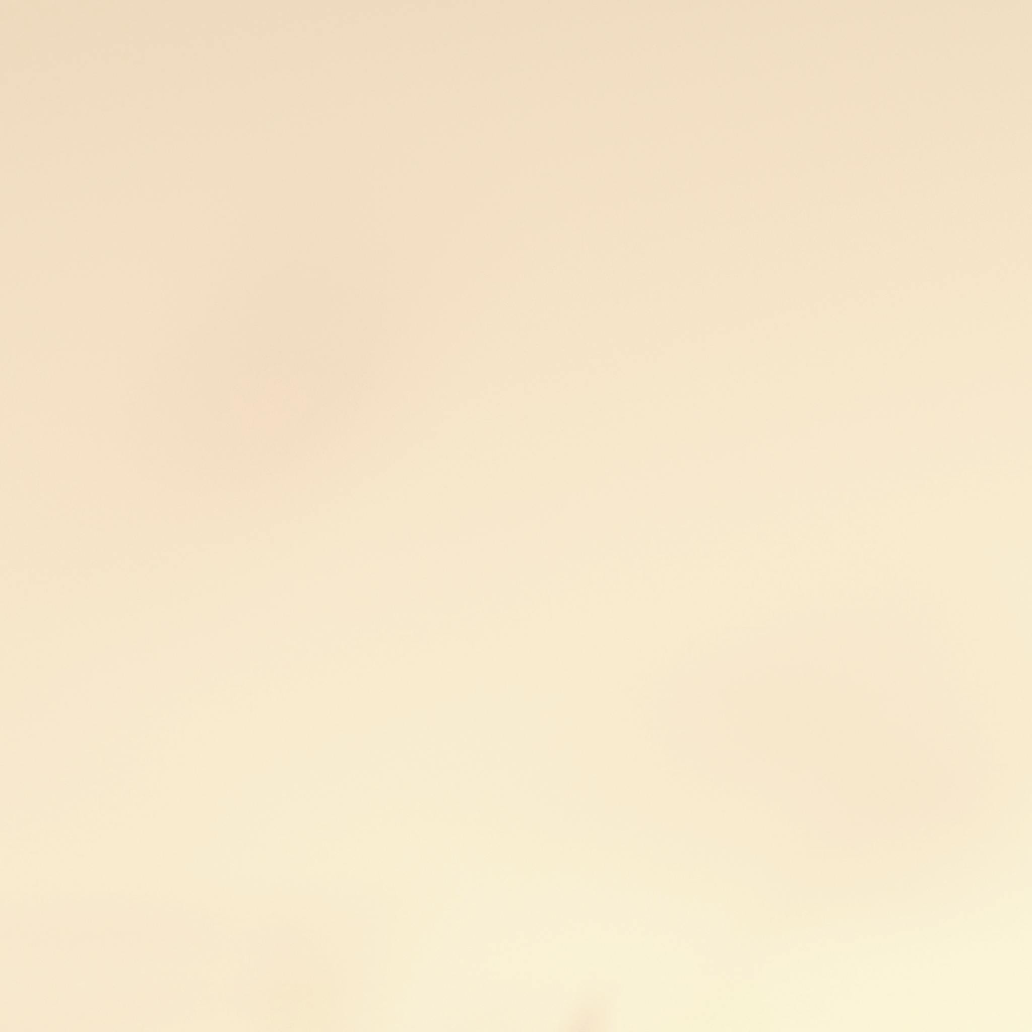 Vev case study - branding, web design and development. — Decimal.