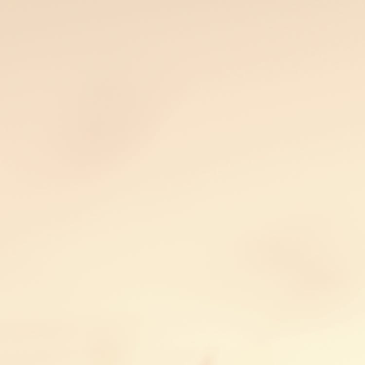 Vev case study - branding, web design and development. — Decimal.