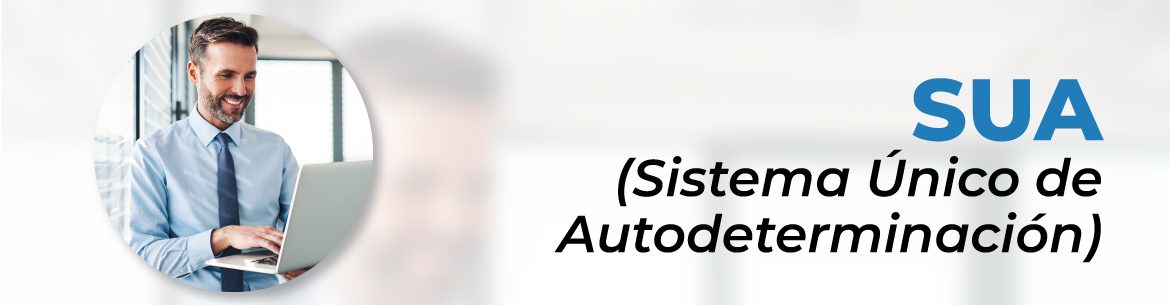 Ajustes en el SUA 3.6.5: Guía Completa de la nueva actualización - De ...