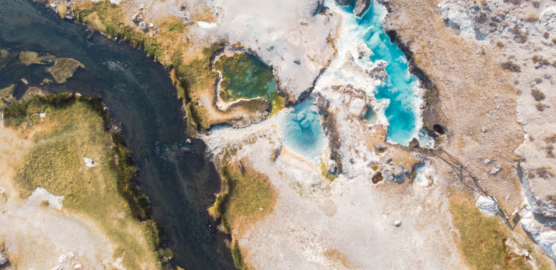 About Dendra | Pioneering Environmental Management with AI