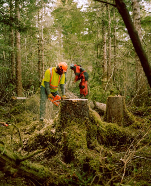 About Dendra | Pioneering Environmental Management with AI